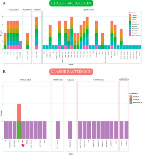Identification Of Bacteriocin Encoding Genes From All Bacterial Strains Download Scientific