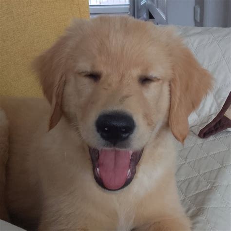 This Guy Should Be Chief Constable Robert Edward Wright Facebook