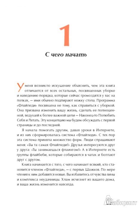 Иллюстрация 5 из 15 для Школа Флайледи. Как навести порядок в доме и в ...