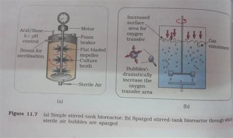 A B Figure 11 7 A Simple Stirred Tank Bioreactor B Sparged Stirr