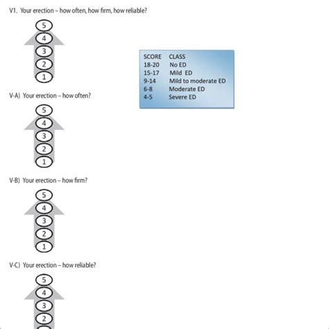 Visual Scale Erectile Function Questionnaire Vef Download