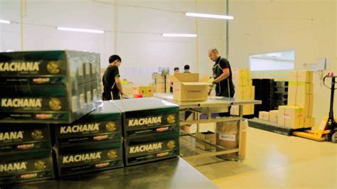 Blc ระบบจัดส่งสินค้า Youtube