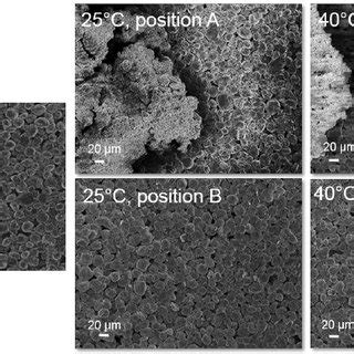 SEM Images Of A Fresh Anode Compared To Anodes Cycled At 25C And 40C Download Scientific