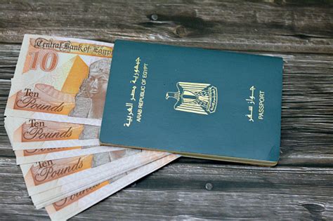 새로운 폴리머와 이집트 여권 10 Egp Le 열 이집트 파운드 돈 지폐 나무 배경에 고립 공화주의 황금 독수리와 이집트의 여권의 아랍 공화국 0명에 대한 스톡 사진 및