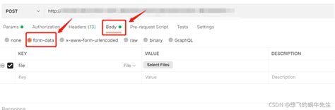 postman接口调用入参为file类型 postman file类型 csdn博客
