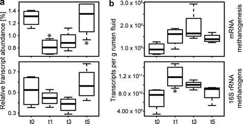 Comparison Of Relative And Quantified Transcript Abundances Of
