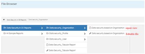 Data Security In Community Edition Reports Based On Logged In Organization Helical Insight