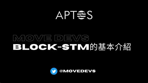 Aptos Block Stm 的基本介紹 Move Devs