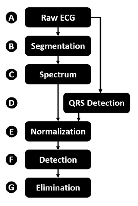 Processing Of Stimulation Artifact Elimination Ecg Record A Was Download Scientific Diagram