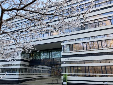 A Winter Wonderland At Cssb Today Centre For Structural Systems Biology Cssb