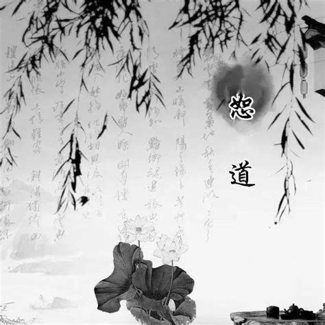 恕道的精神是己所不欲勿施于人 弟弟 妹妹 哥哥