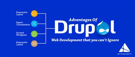 Advantages Of Drupal Web Development You Cant Ignore