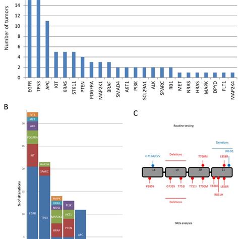 Mutations Discovered Using Ngs Panel A Number Of Tumors With Download Scientific Diagram