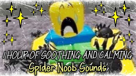 𝟏 𝐇𝐨𝐮𝐫 𝐎𝐟 𝐒𝐨𝐨𝐭𝐡𝐢𝐧𝐠 𝐀𝐧𝐝 𝐂𝐚𝐥𝐦𝐢𝐧𝐠 𝐒𝐩𝐢𝐝𝐞𝐫 𝐍𝐨𝐨𝐛 𝐂𝐫𝐲𝐢𝐧𝐠 YouTube