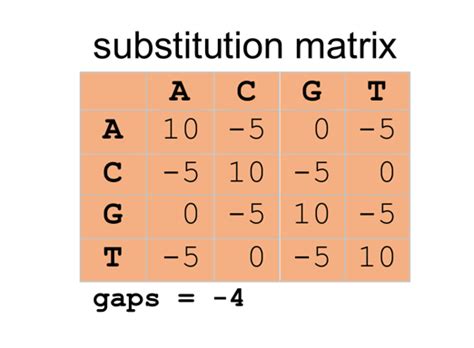 Solved Consider Two Homologous DNA Sequences GATTC And Chegg Com