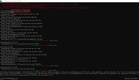 Pip Install Selenium Error Exceptiontraceback Most Recent Call Last