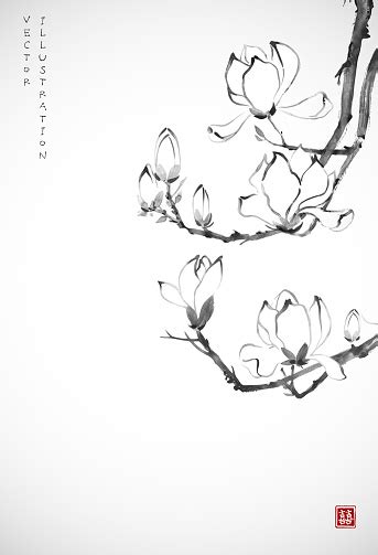 흰색 배경에 동양 스타일의 목련 꽃 전통적인 동양 잉크 페인팅 스미e U죄 고화 상형 문자의 번역 이중 행운 복고풍에 대한 스톡 벡터 아트 및 기타 이미지 Istock