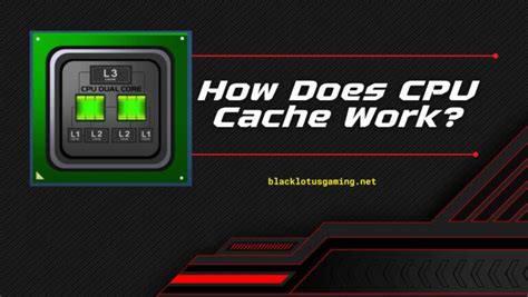 Discover How Does CPU Cache Work 2023 Guide BlackLotusGaming Net