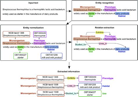 Text Mining Process 101371journalpone0272473g001 Download Scientific Diagram