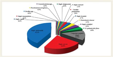 Prevalence In Percentages Of The Bacterial Strains Identified From Download High Quality