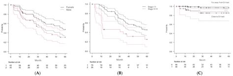 Cancers Free Full Text Long Term Results Of Proton Therapy For Hepatocellular Carcinoma