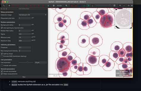 Can We Perform Cell Detection At Qupath Using A Script And Include The Distance Parameter To