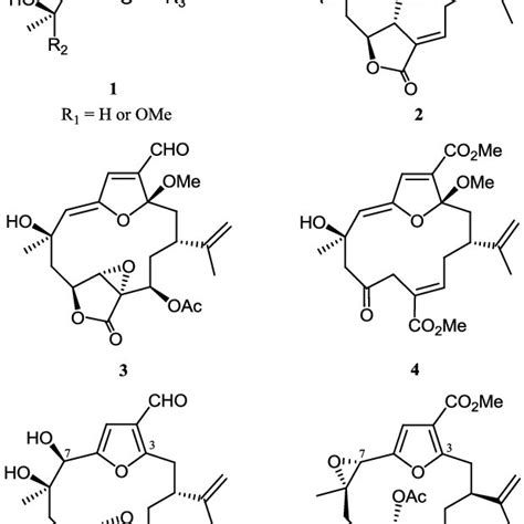 Structures Of Enol Ether Cyclic Ketal Metabolites And Their Congeners Download Scientific