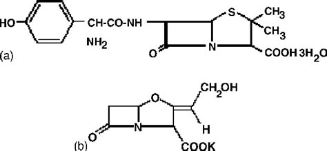 Chemical Structure Of Amoxicillin Trihydrate A I E The Penicillin Download Scientific