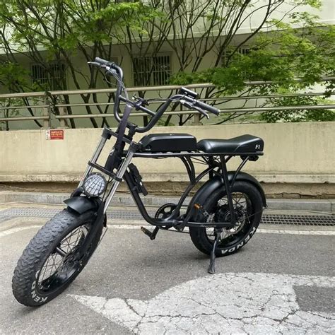 Electric Hybrid 자전거 전기자전거 전기팻바이크 안지오폭스 On Bunjang Global Site