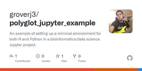 Github Groverj3polyglotjupyterexample An Example Of Setting Up A Minimal Environment For