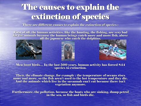 Ppt Extinction Of Species Powerpoint Presentation Free Download Id 7000456