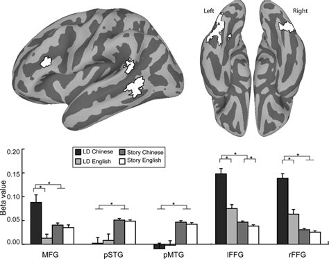 Data From Lexical Decision Ld And Story Reading In Rois From