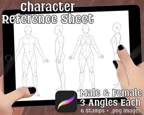Character Reference Sheet Base Template Male And Female 6 Stamps Png