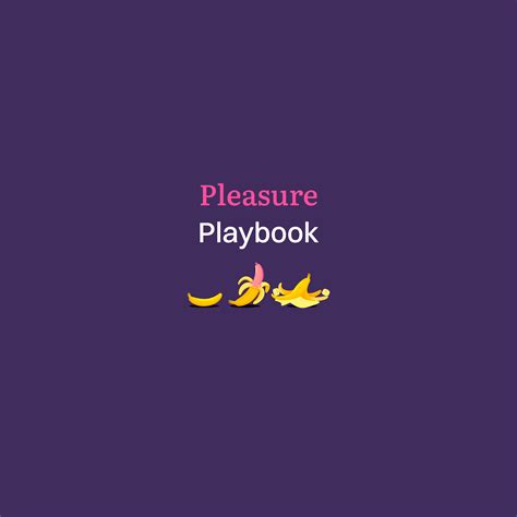 Pleasure Playbook Your Guide To E Commerce Success