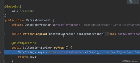 Refreshscope刷新配置文件原理（2）actuatorrefresh 返回中括号 Csdn博客