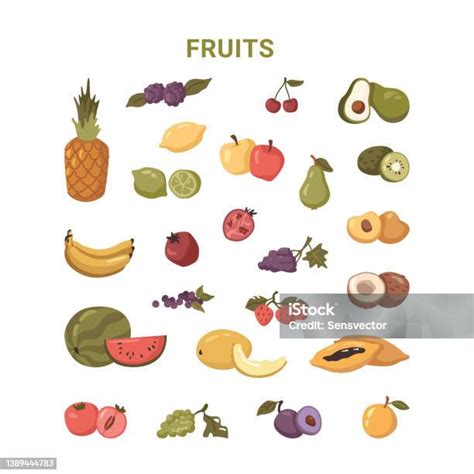 과일 세트 신선한 음식 고립 된 잘 익은 열대 여름 열매 평평한 스타일 레몬과 파인애플 사과와 아보카도 포도와 코코넛벡터 얇게 썬 멜론과 포도 석류와 배 0명에 대한 스톡