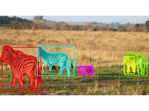 Alternatives And Detailed Information Of Deepmask Pytorch Gitplanet