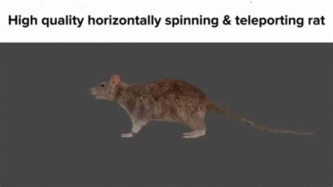 Spinning Rat S