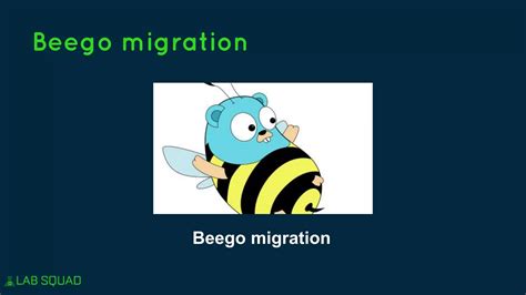 Database Versioning In Golang Pptx Databases Computer Software