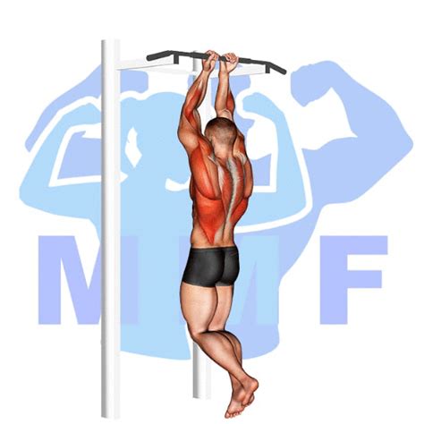 Close Grip Pull Up