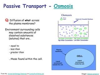 Diffusion Osmosis Lecture PowerPoint VCBCct Ppsx Chemistry Science