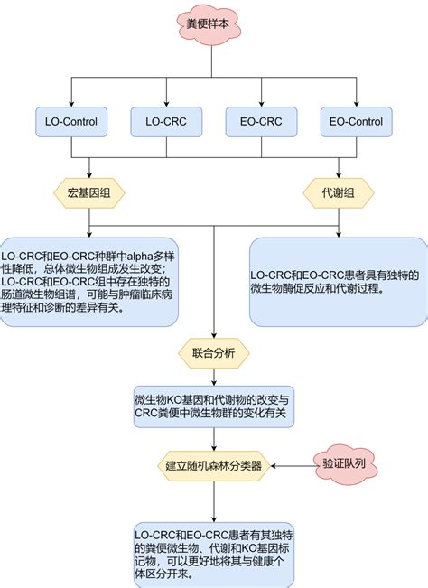 联合分析专题（一）：宏基因组 代谢组联合分析的研究思路 武汉灵思生物技术有限公司