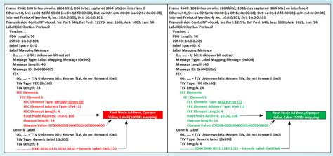 multipoint ldp mldp part ii wdiw