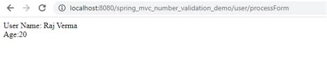Spring MVC Form Number Validation Spring Java