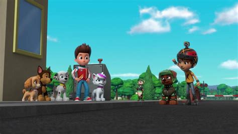 Paw Patrol La Patpatrouille Série Replay Et Vidéos En Streaming
