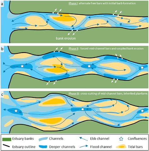 Estuary Formation Diagram Geomorphic Versus Climatic Drivers Of