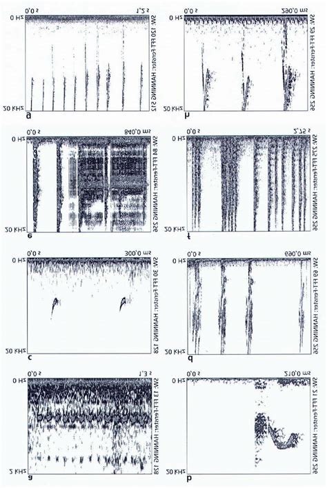 Sound Spectrograms Of Vocalization Types Of Graphiurus Parvus Note