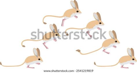 15 Dune Mouse Stock Vectors And Vector Art Shutterstock