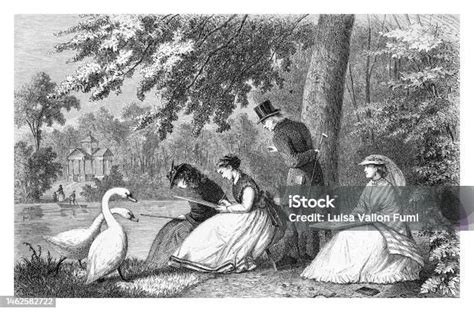 세 명의 젊은 여성 딜레탕트 예술가 강 가장자리에 앉아 야외를 스케치하고 교사와 두 마리의 백조 빈티지 조각 19세기 스타일에 대한 스톡 벡터 아트 및 기타 이미지 Istock