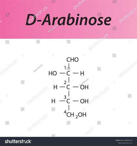 Straight Chain Form Chemical Structure Darabinose Stock Vector Royalty Free 2284694573